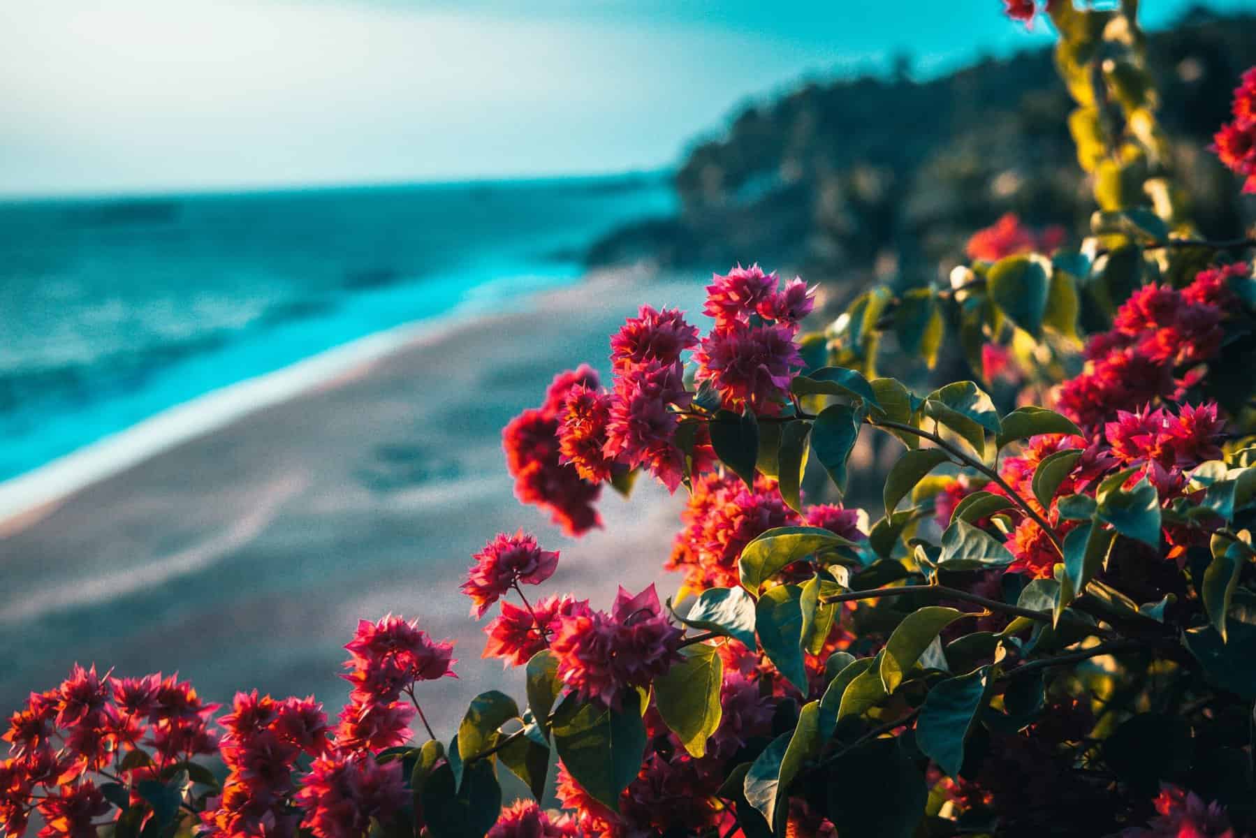 15 books that feel like summer for warmth and sunshine - Tolstoy Therapy